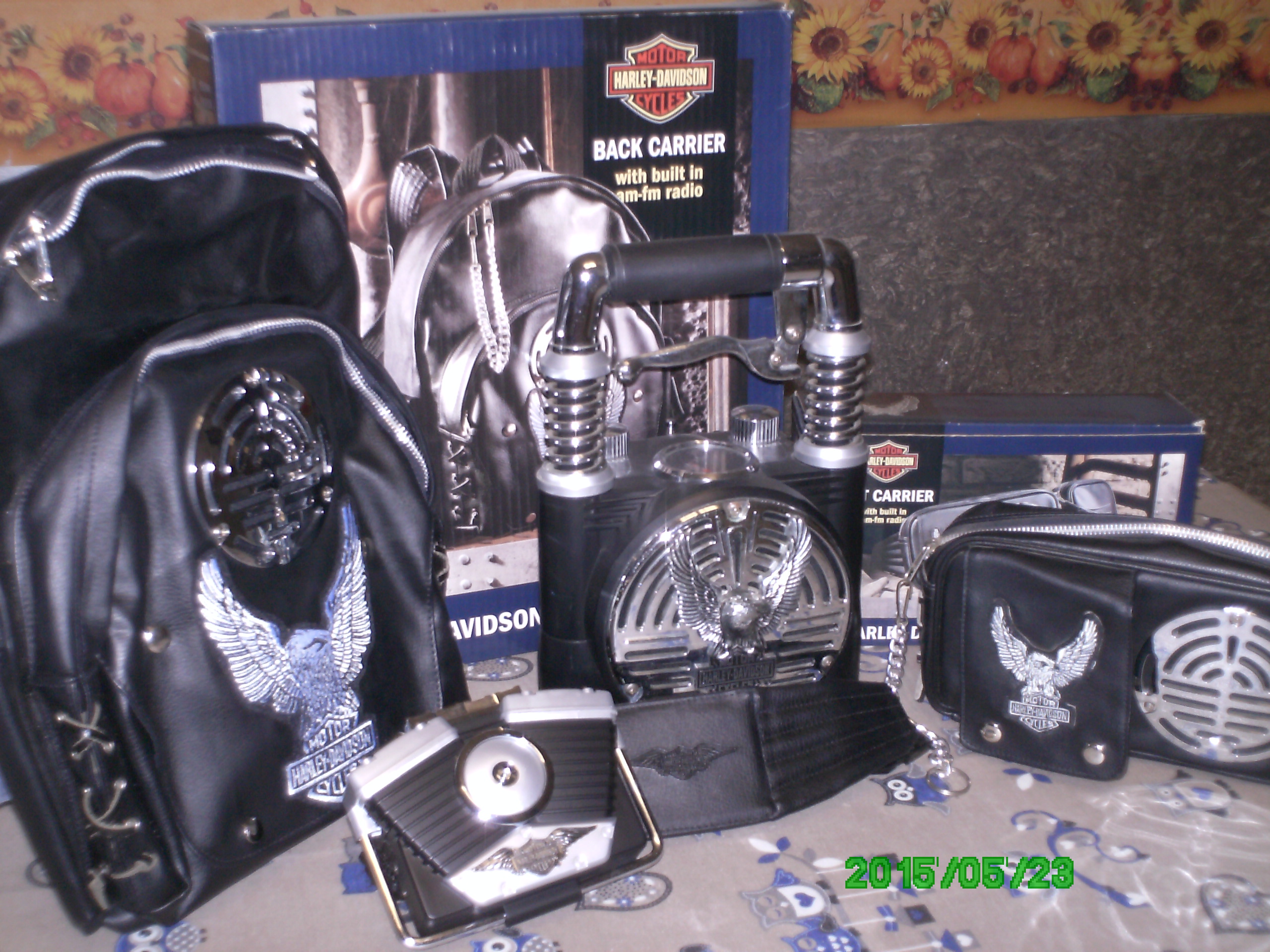 COLLEZIONE HARLEY DAVIDSON