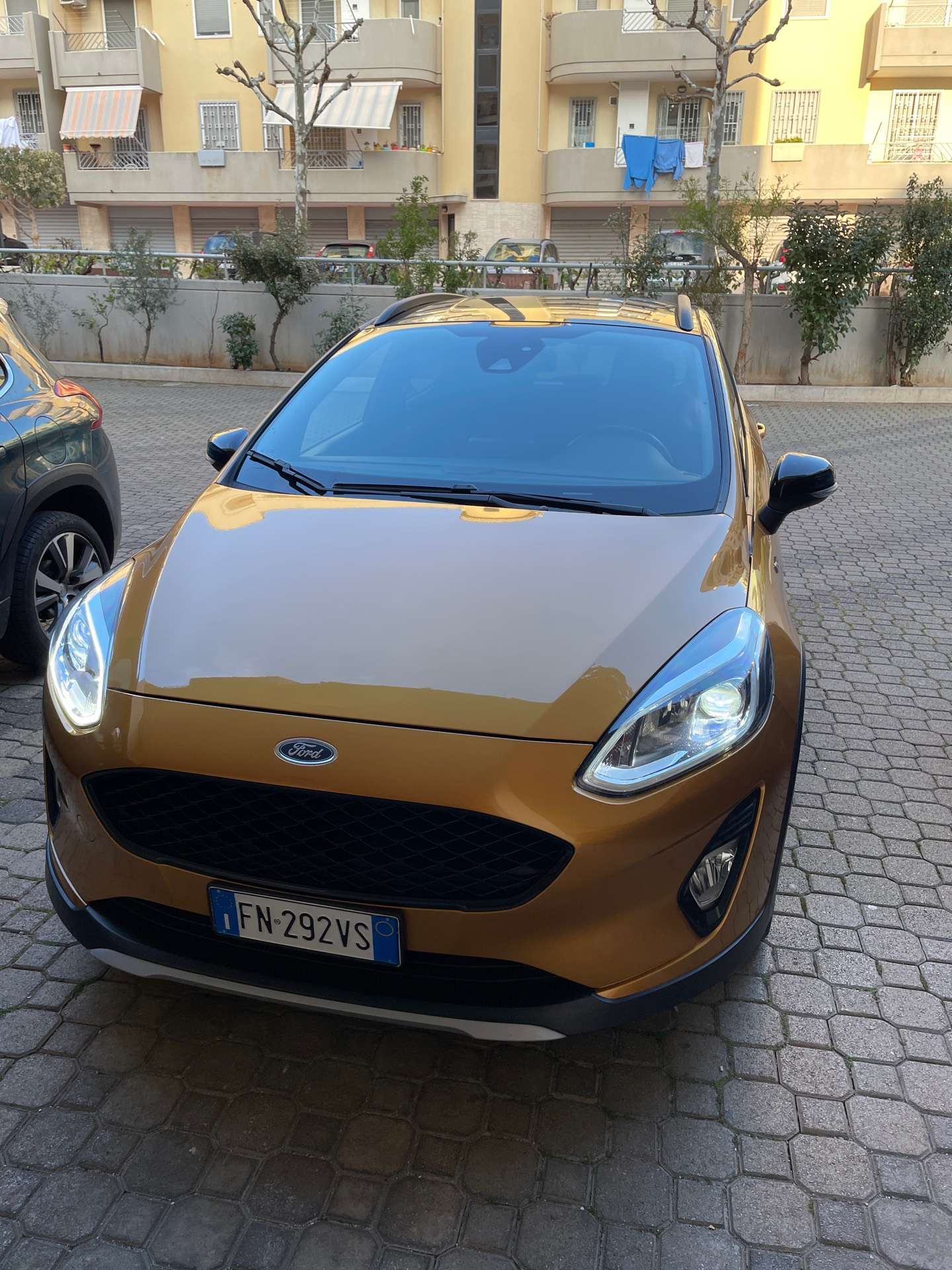 Ford FiestaActive 1.0 ecoboost s&s 100cv my18