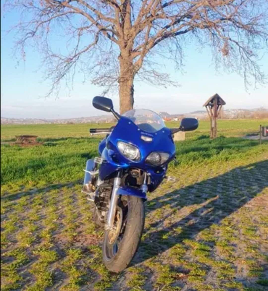 Suzuki SV 650S