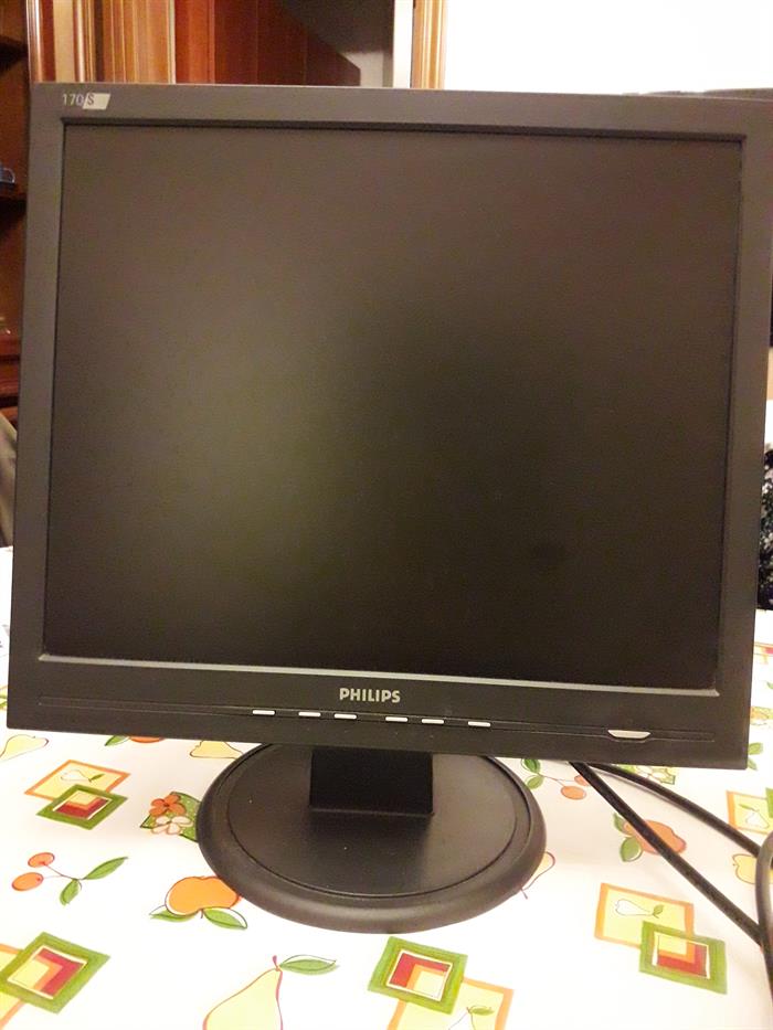 MONITOR PHILIPS 170 S 17 POLLICI