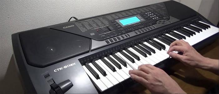 CASIO CTK811EX TASTIERA ARRANGER