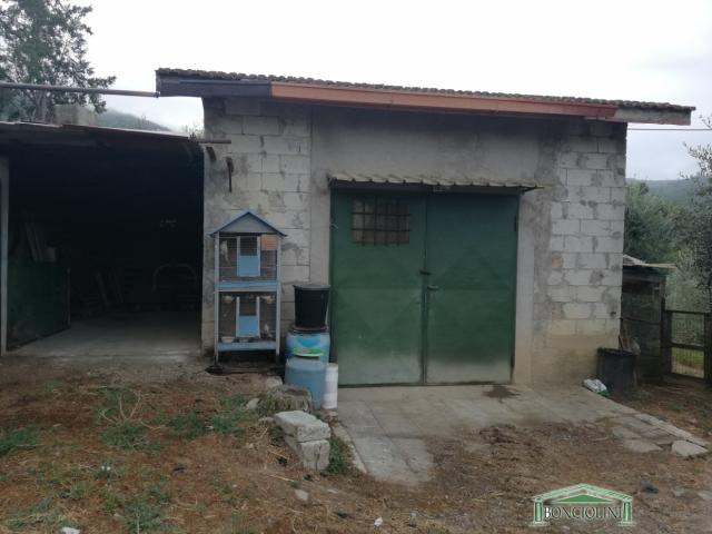 Terreno agricolo con rimessa a monsummano terme