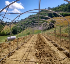 Serra tunnel agricola professionale 5x40m