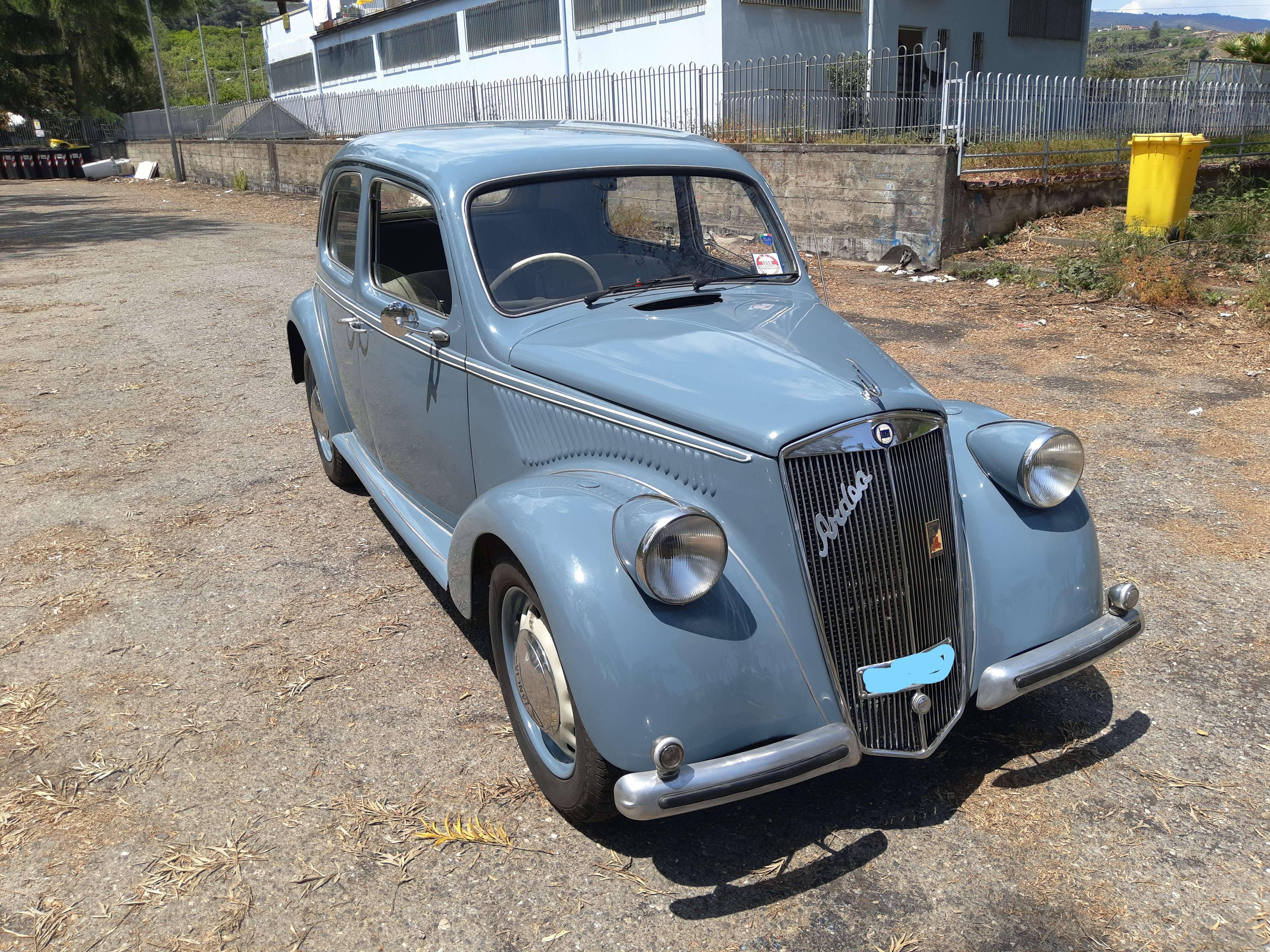 Lancia ardea