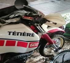 Yamaha XT 600 Tenere Z 1VJ 