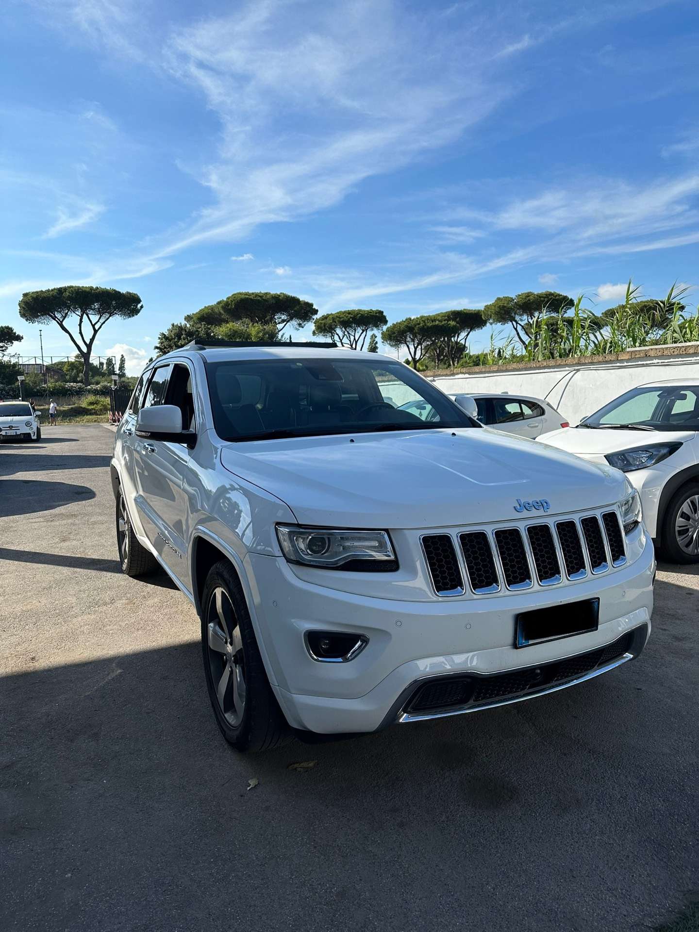 Jeep Grand Cherokee3.0 crd (mjt II) V6 Overland 250cv auto