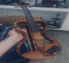 Violino elettrico 