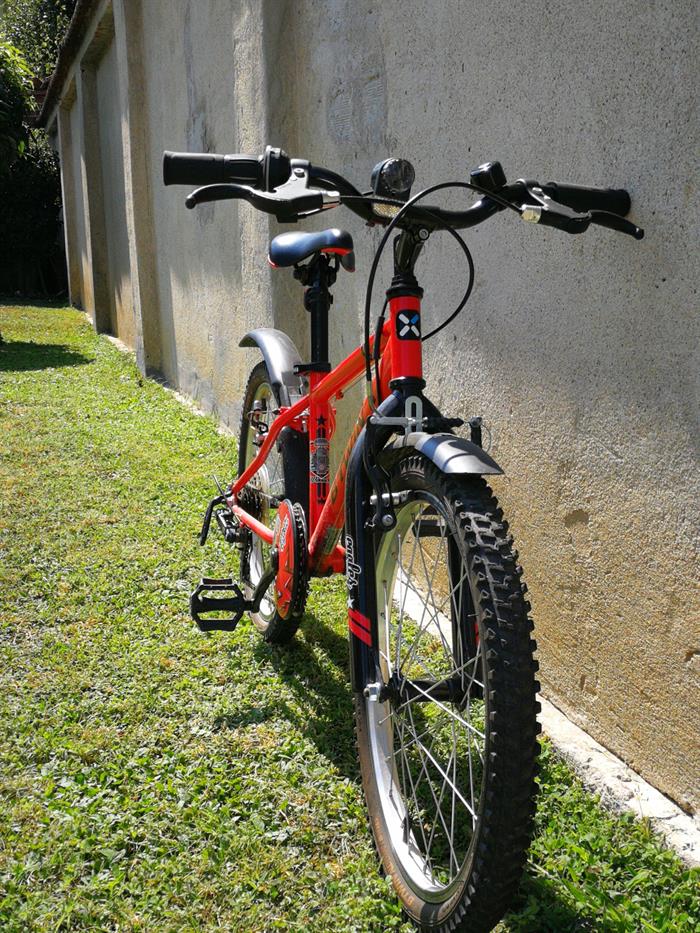 BICI BIMBI T-TWIN 20"