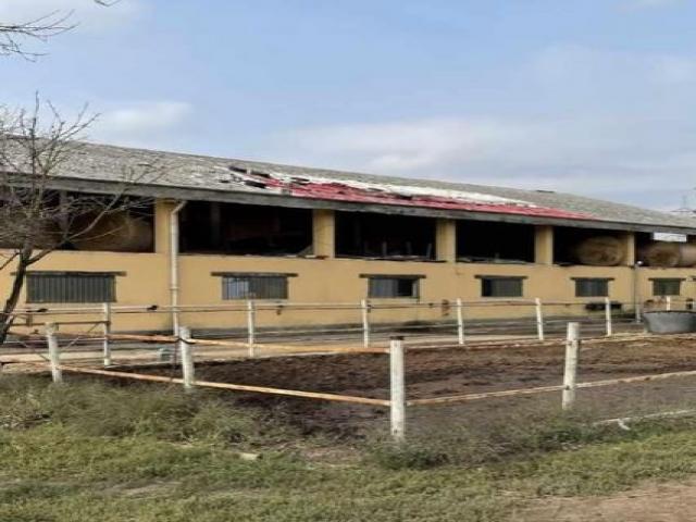 Fondo agricolo - localita' cascina padregnana, 2