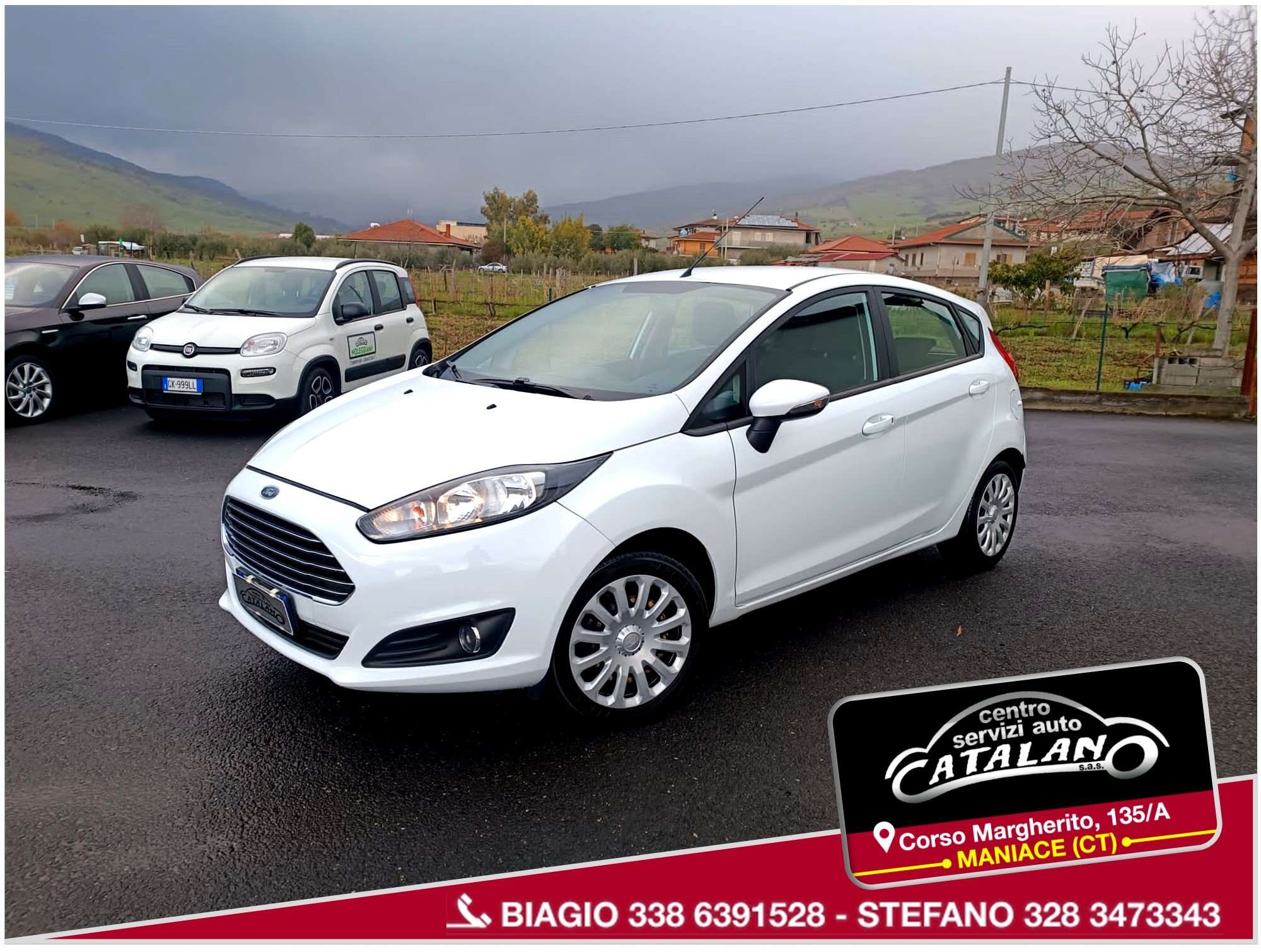 Ford FiestaFiesta 5p 1.5 tdci Titanium 75cv