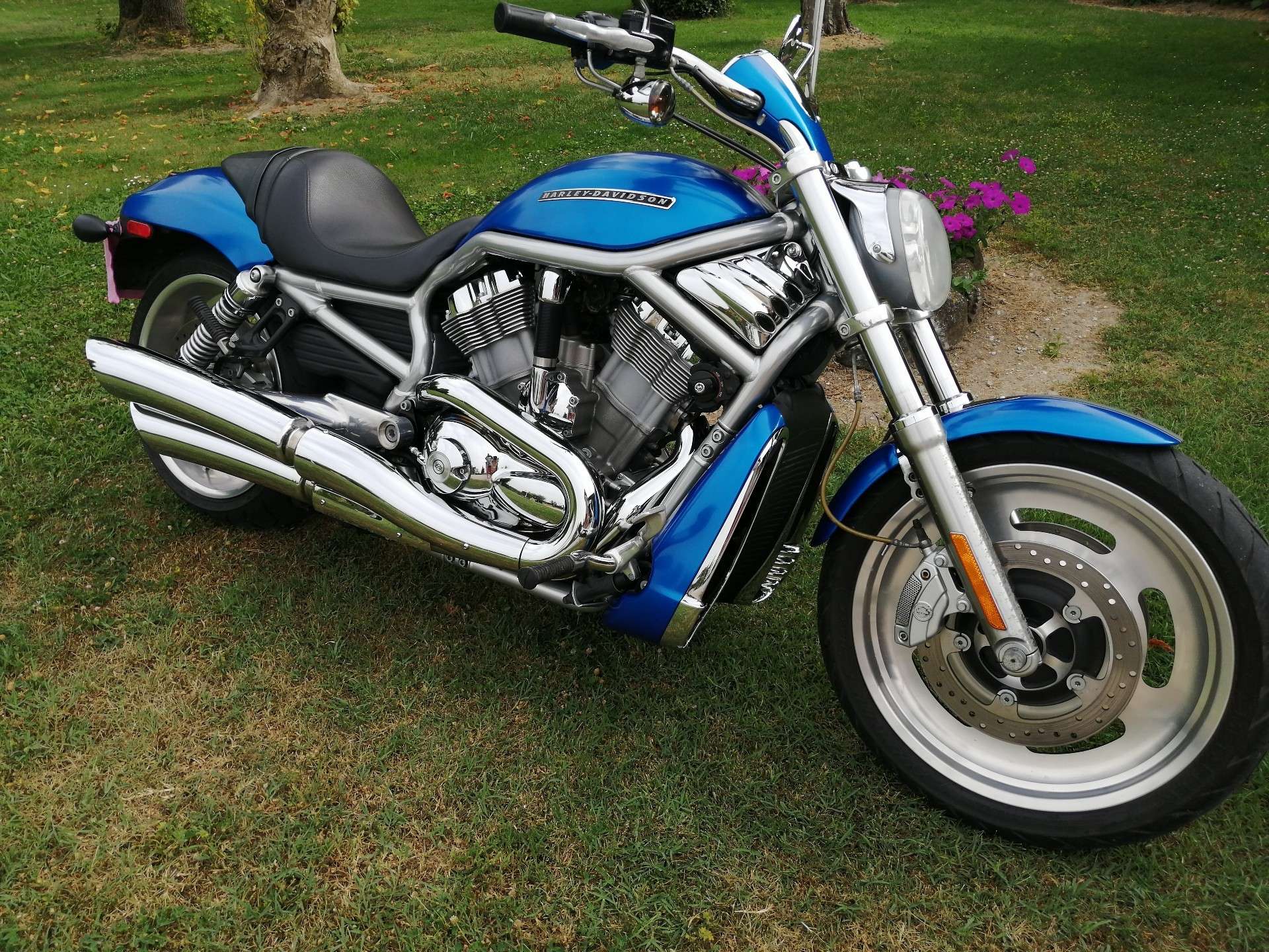 Harley-Davidson VRSC V-Rod