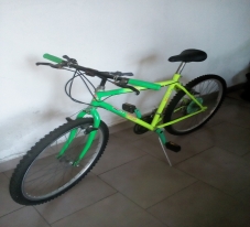 Bicicletta mountain bike