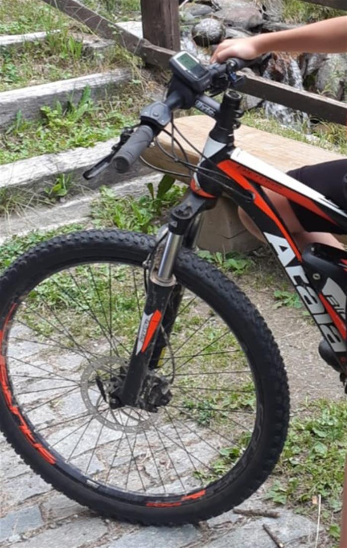 E-BIKE ALTA B-CROSS