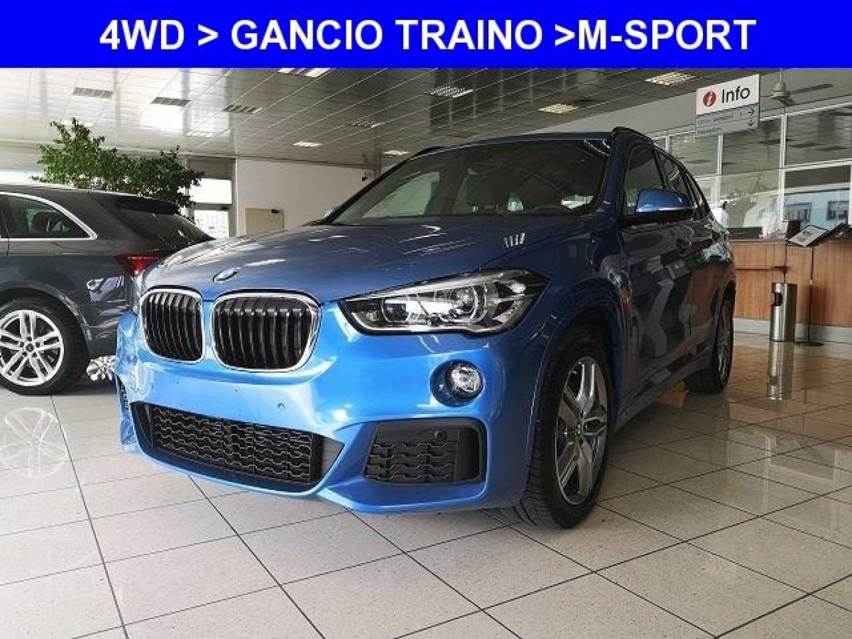 BMW X1 (F48) X1 xDrive20d Msport