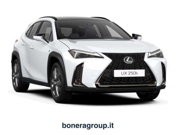 Lexus UX 250h2.0 Design 2wd cvt