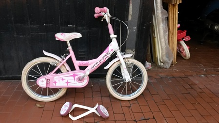 BICICLETTA BAMBINA 4-7 ANNI