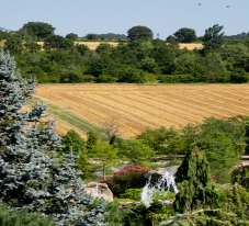 VENDESI QUOTE VIGNA A MONTEVEGLIO