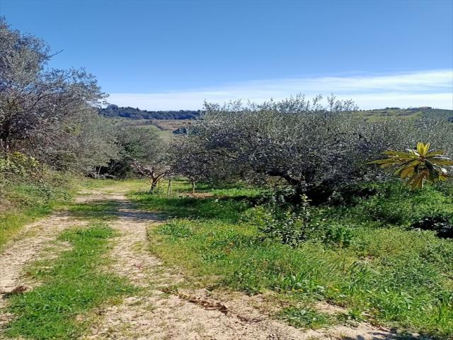 Terreno agricolo in vendita a san giovanni teatino sambuceto