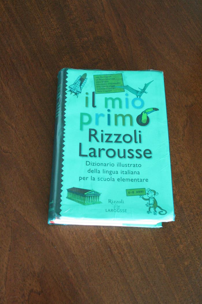 DIZIONARIO ILLUSTRATO PER BAMBINI 6/8 ANNI