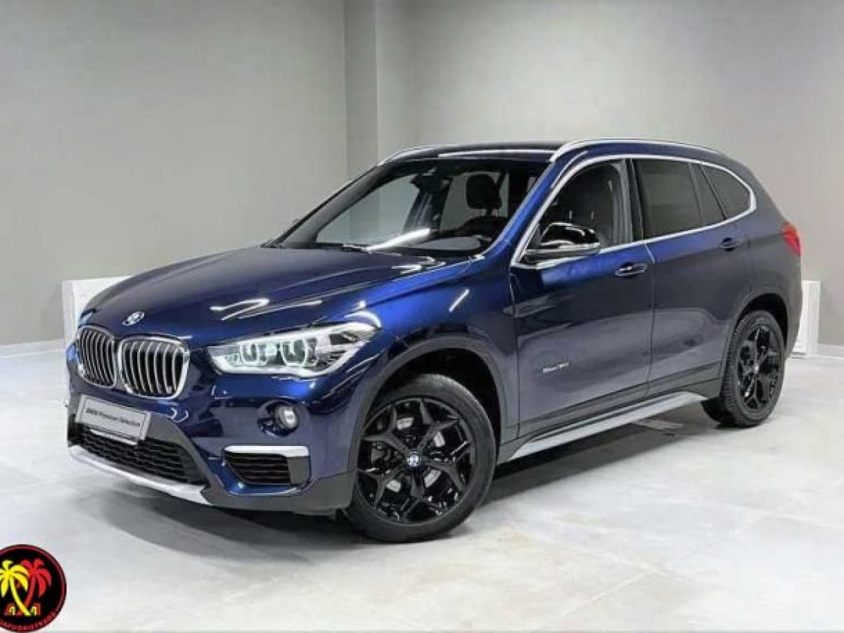 BMW X1 (F48) X1 sDrive18d xLine