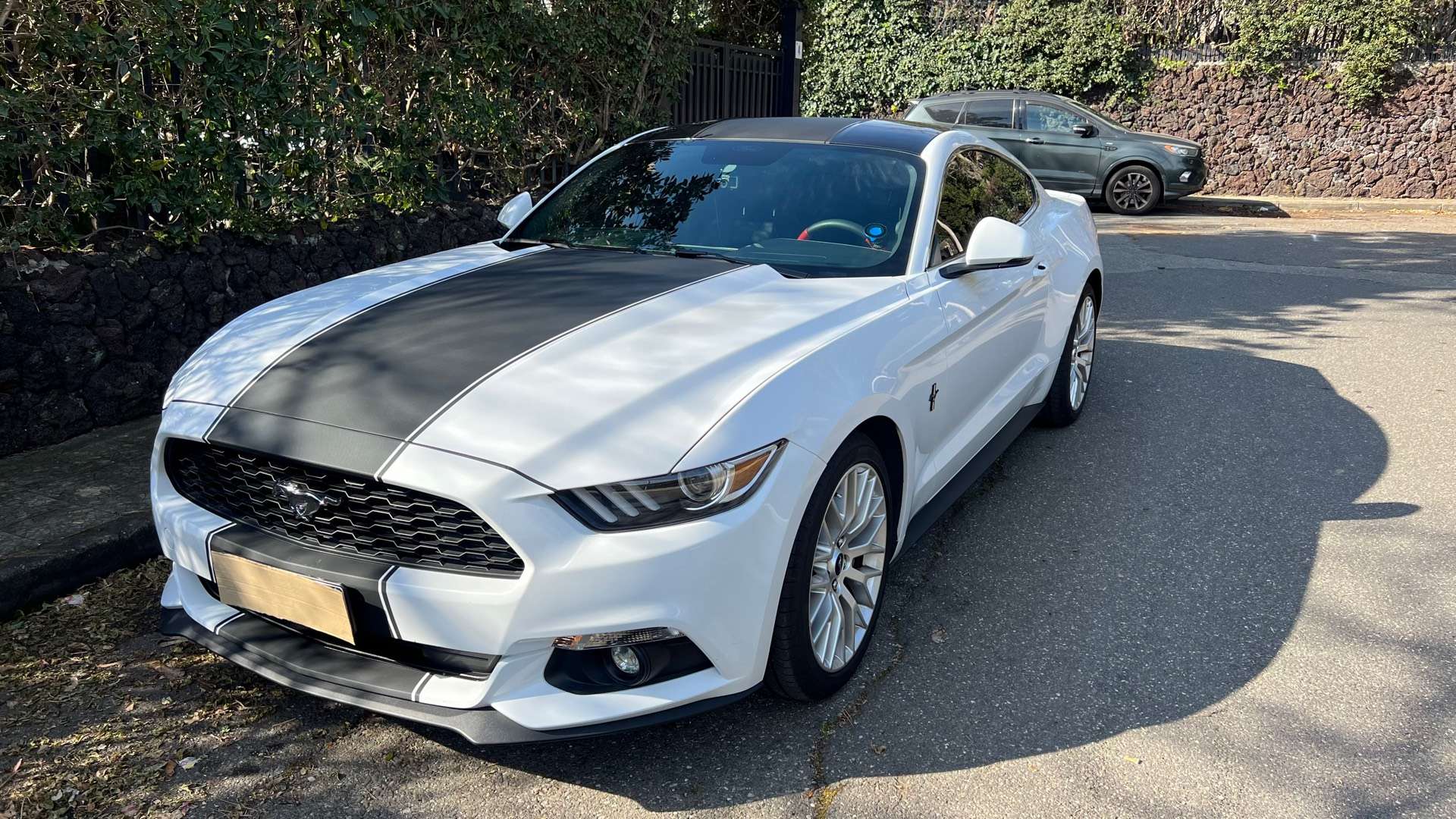 Ford MustangFastback 2.3 ecoboost 317cv auto