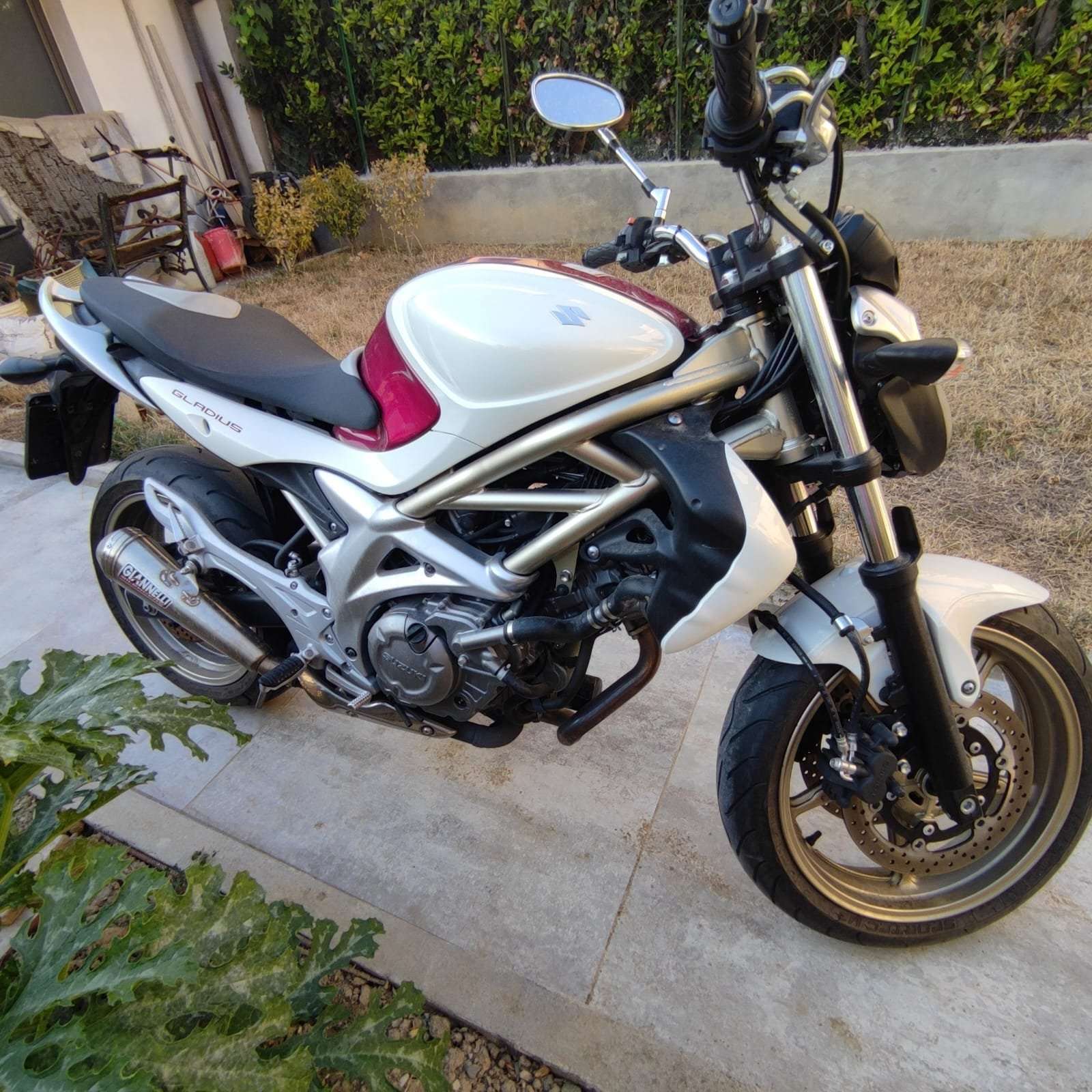 Suzuki Gladius 650