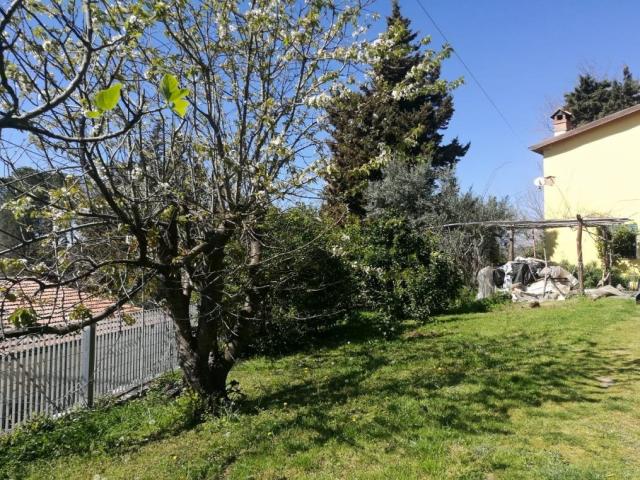 Massarosa in posizione panoramica villa singola immersa nel verde e nella tranquillita'