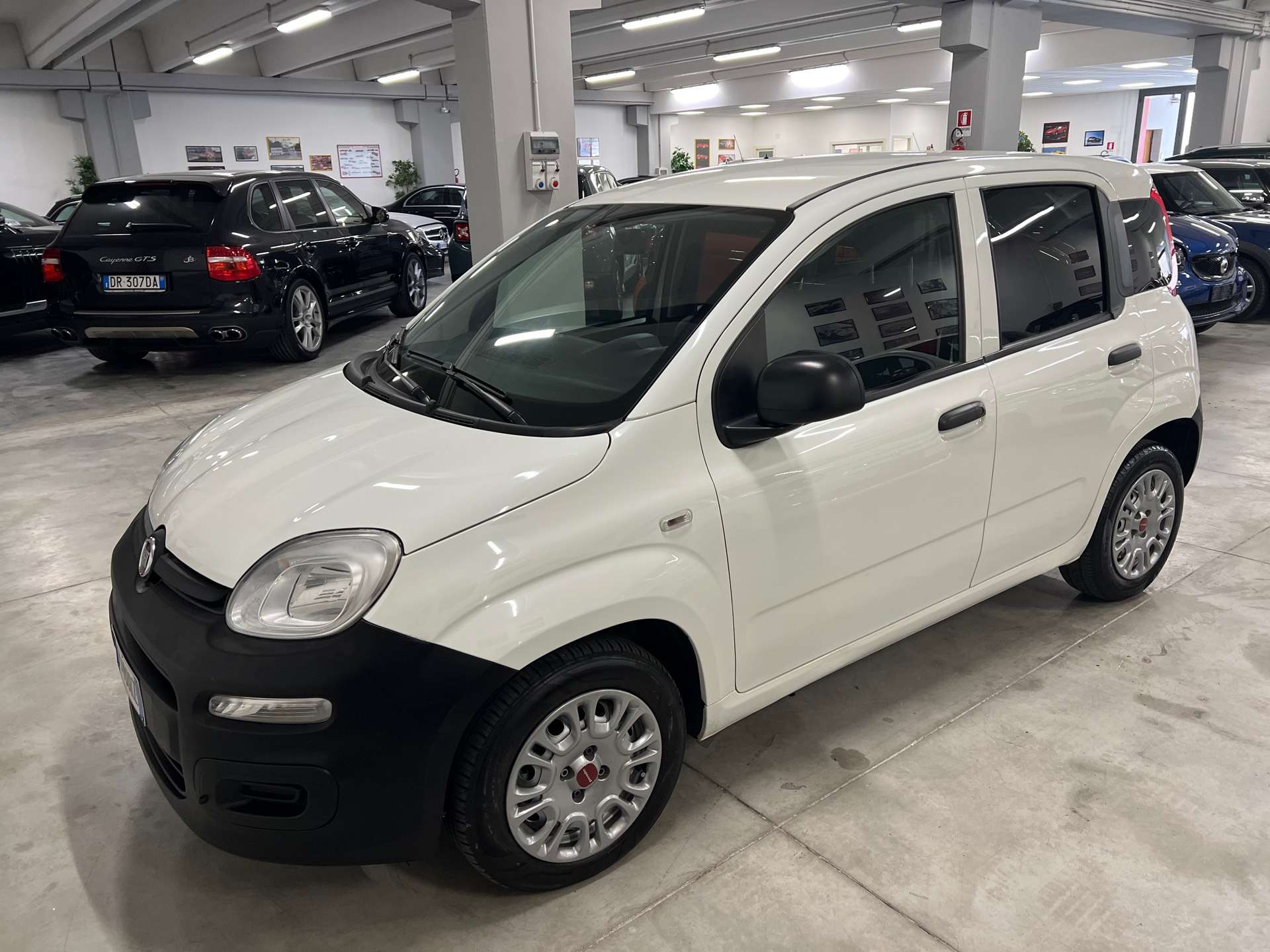 Fiat Panda1.3 mjt Van s 80cv Garanzia 12 Medi