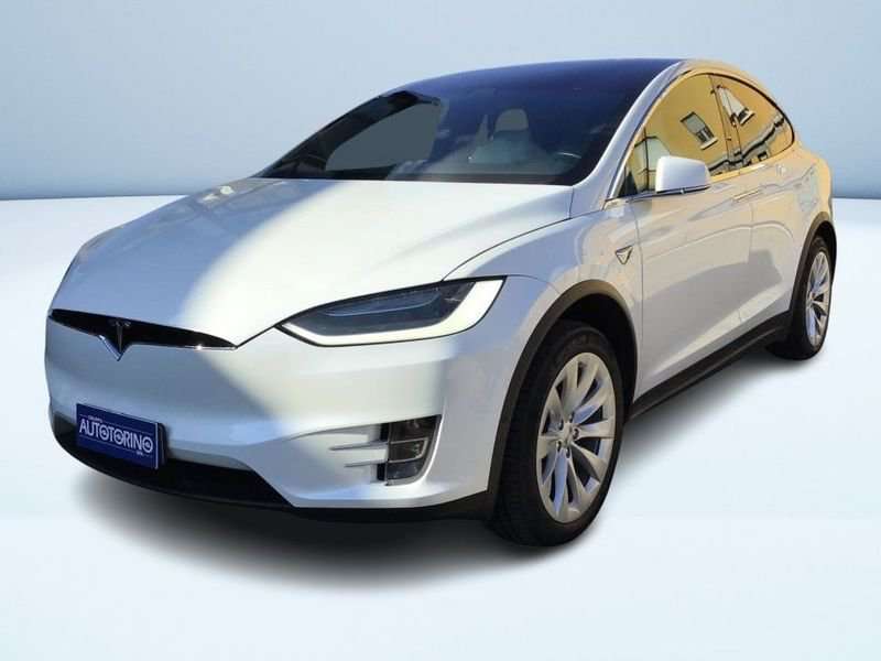 Tesla Model XSTANDARD RANGE AWD