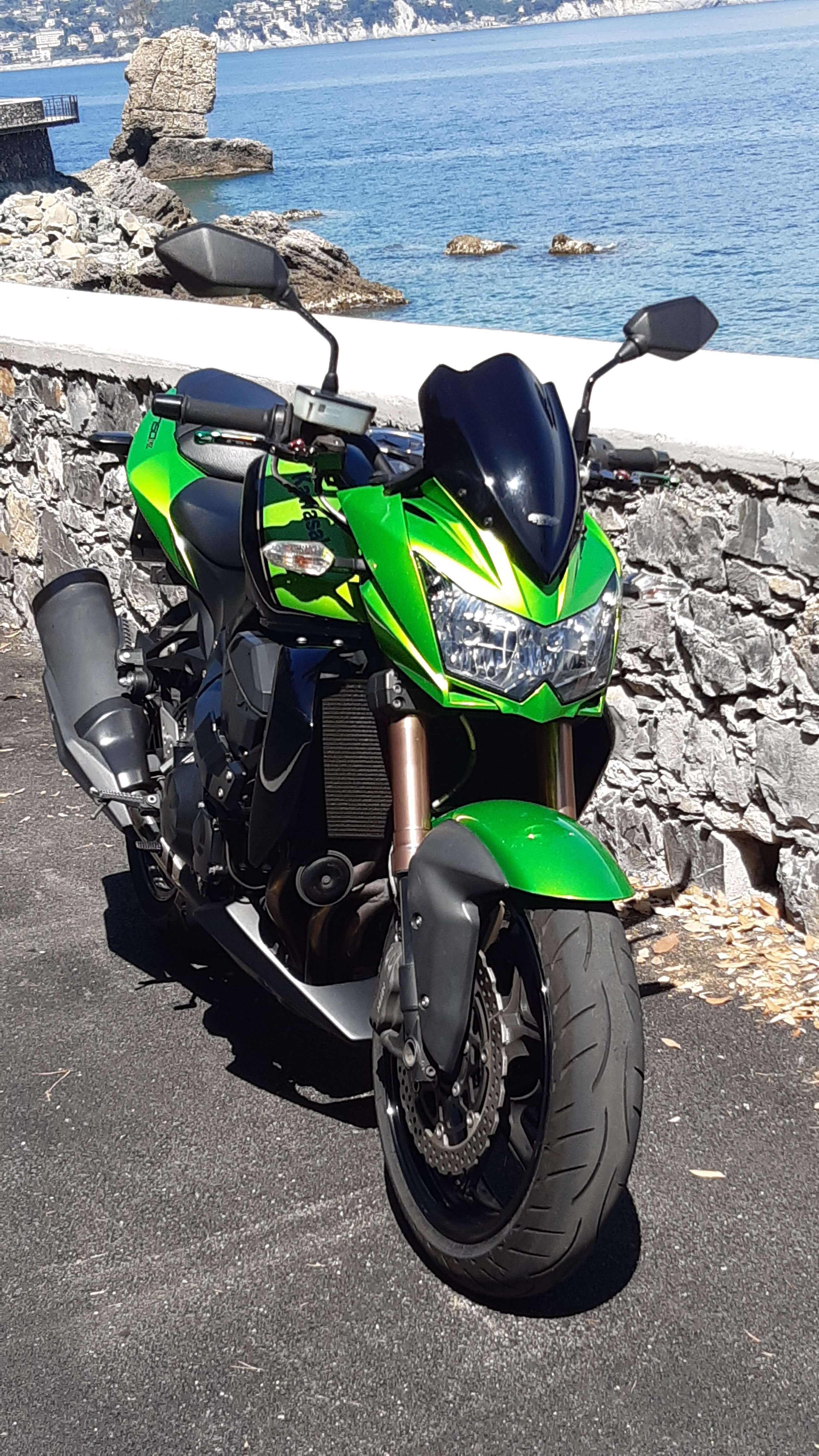 Kawasaki Z 750Z750R