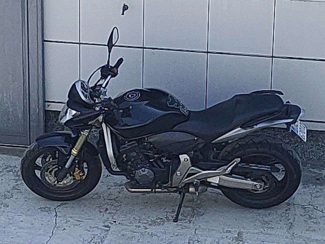 Honda Hornet