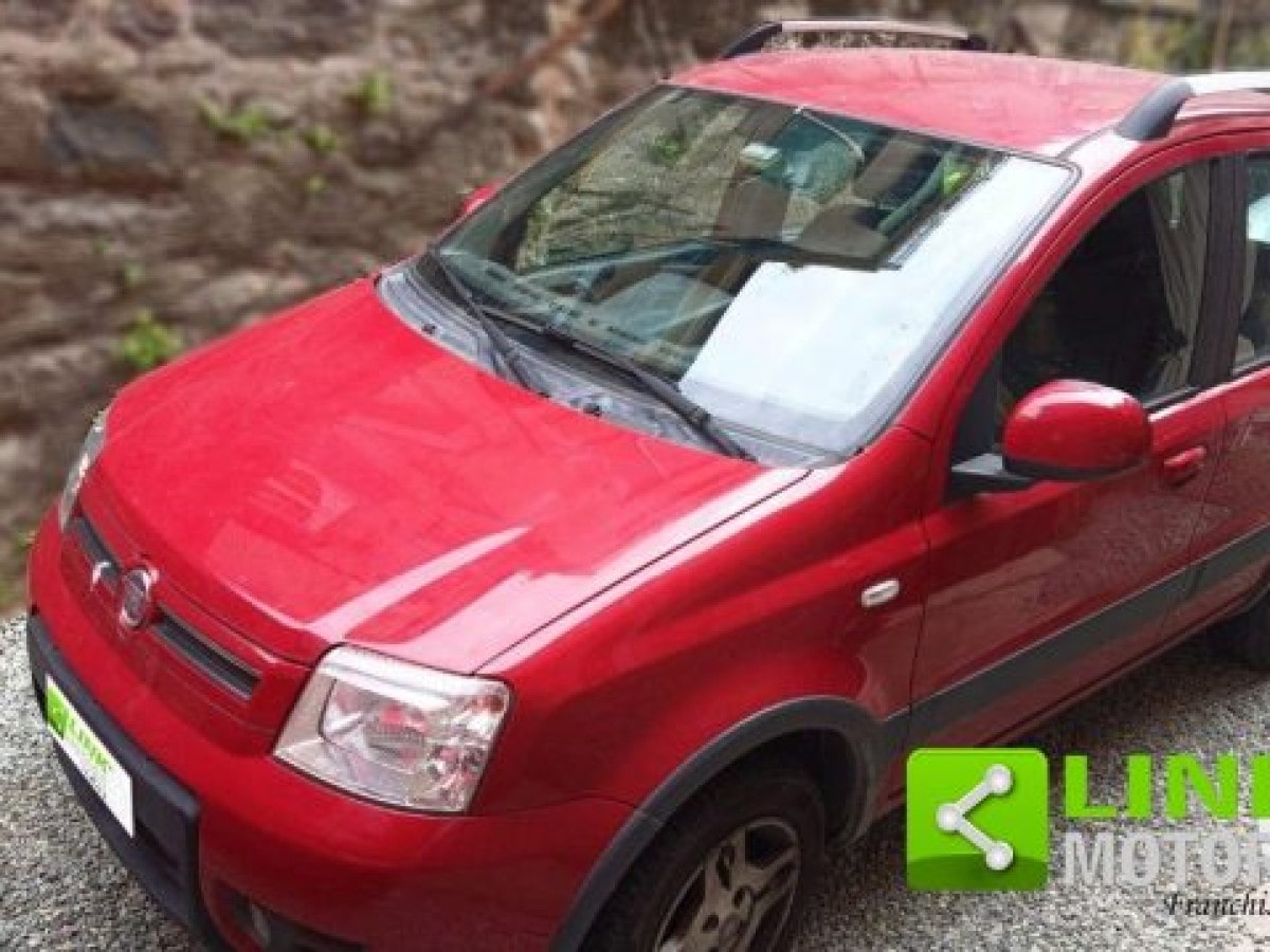 FIAT Panda 2ª serie Panda 1.2 Climbing Natural Power