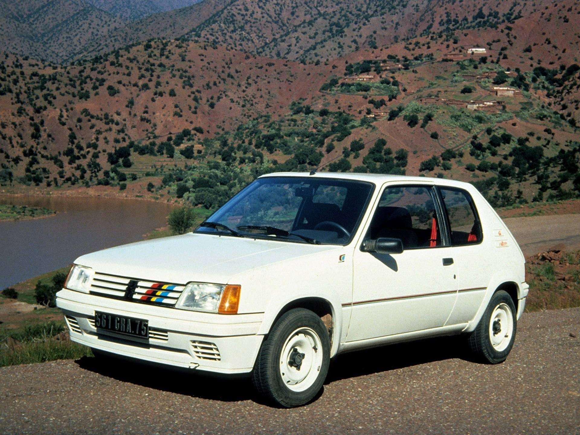 Peugeot 2053p 1.3 Rallye