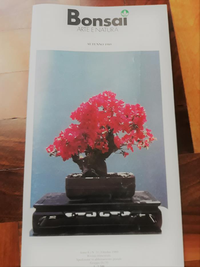 RIVISTE BONSAI ARTE E NATURA