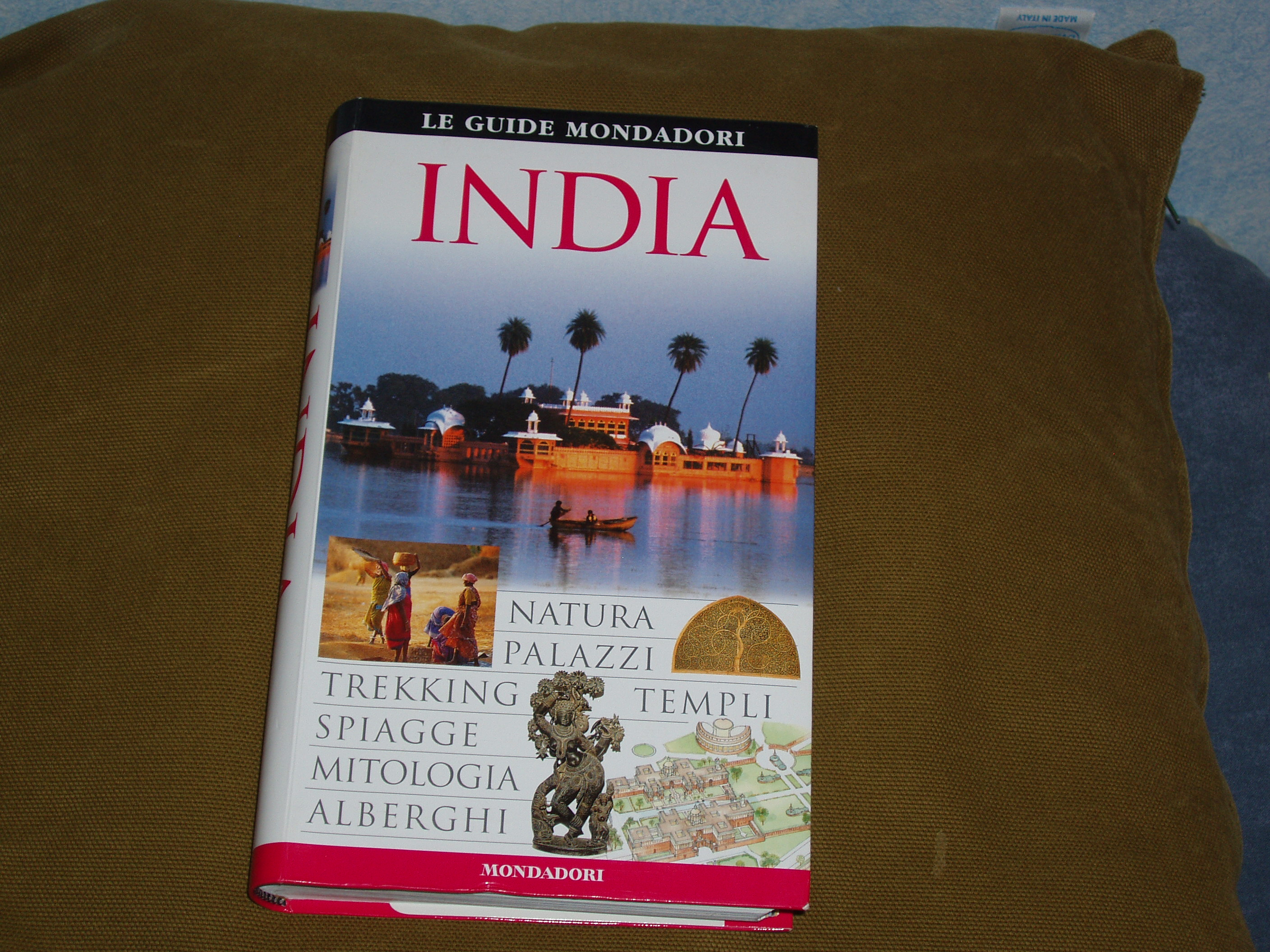 GUIDA MONDADORI SULL'INDIA