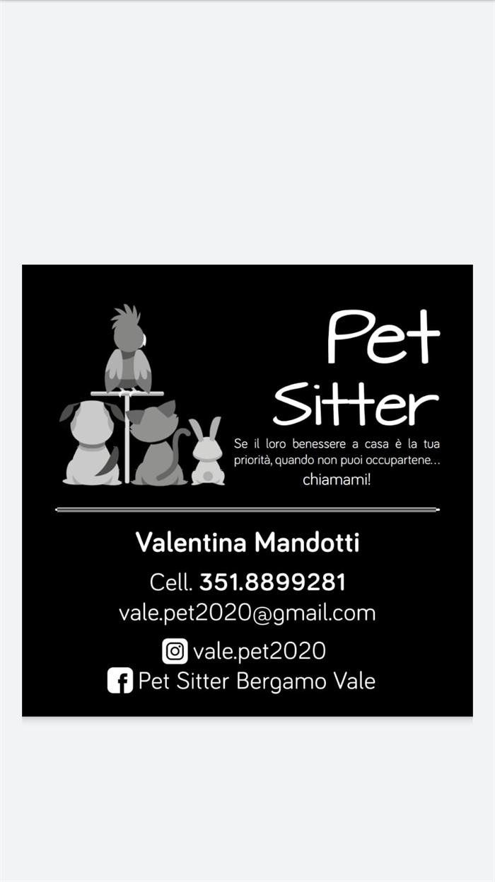 PET SITTER A DOMICILIO