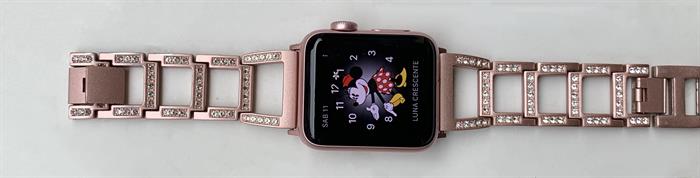 APPLE WATCH SERIE 2