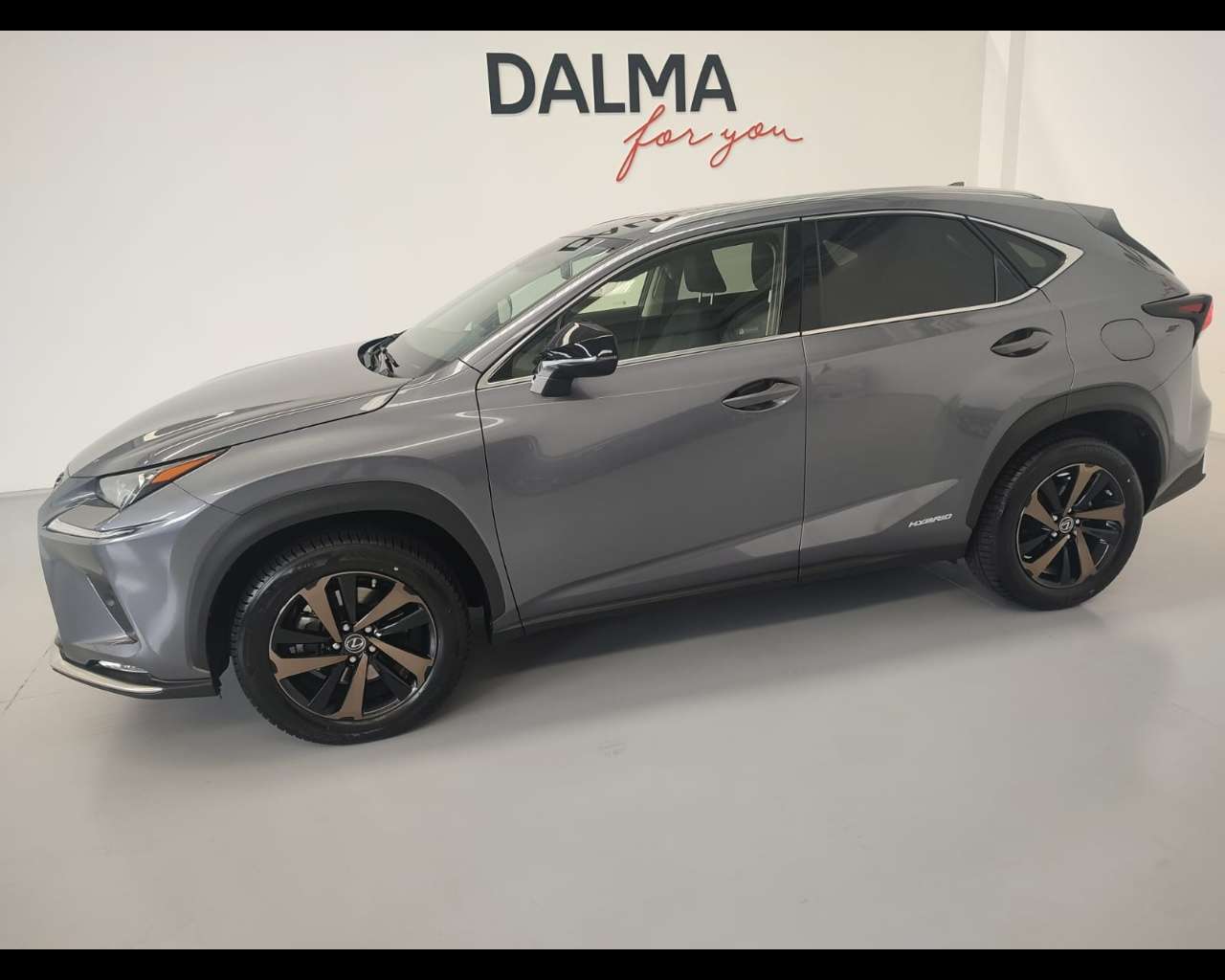 Lexus NX 300h300 2.5 Hybrid Premium