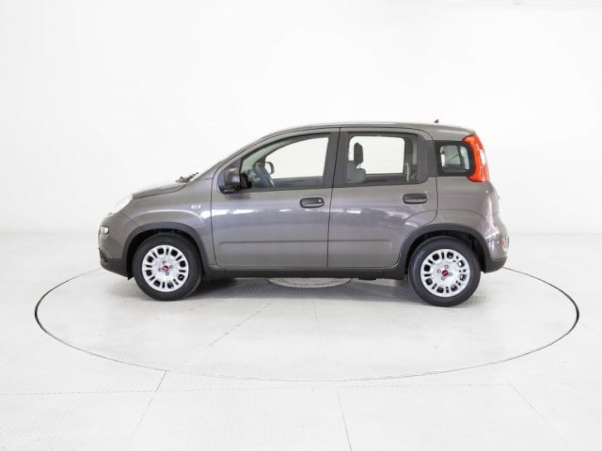 FIAT Panda 3ª serie Panda 1.0 FireFly S&S Hybrid