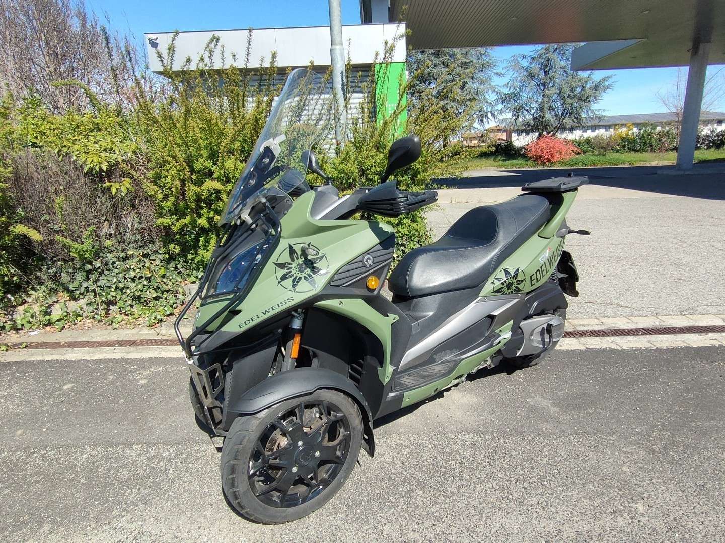 Quadro QV3Edelweiss