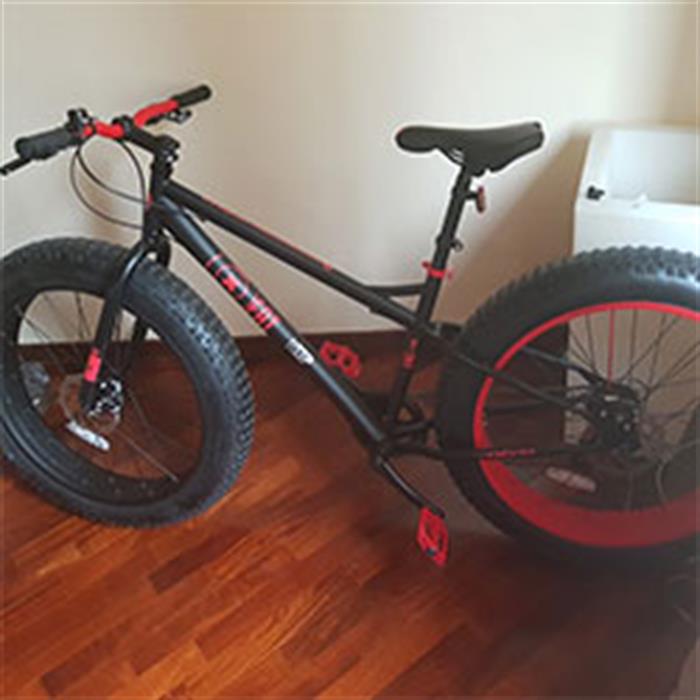 BIGFAT MTB NUOVA