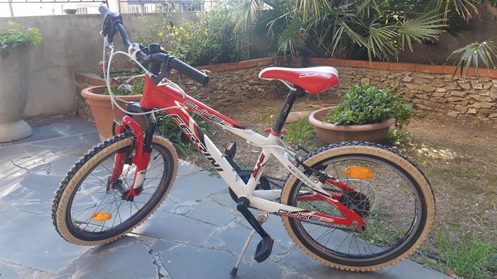 MTB FERRINI DUKE 20"