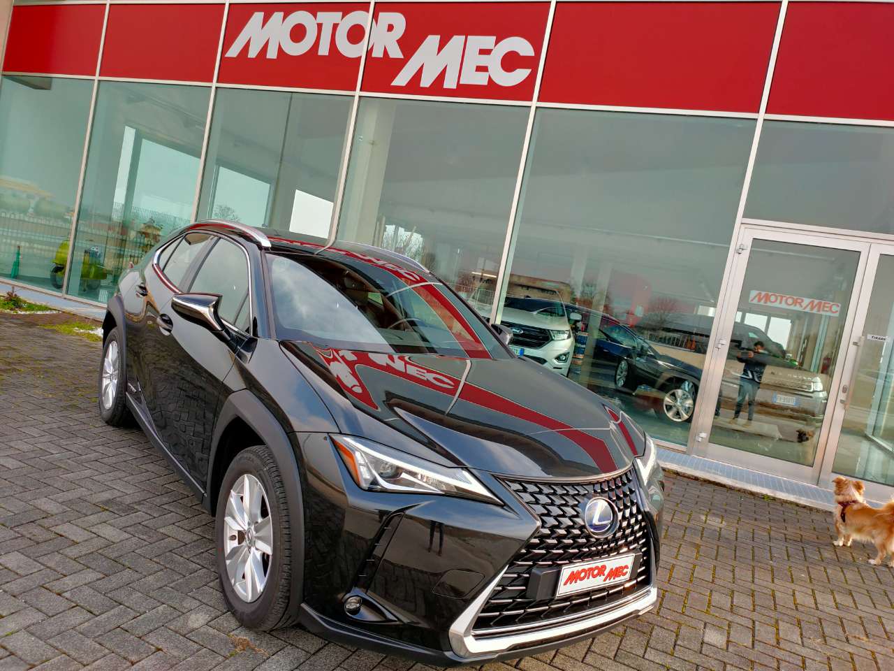 Lexus UX 250h152cv Hybrid Business