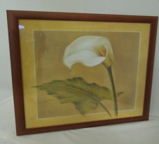 Quadro con calla