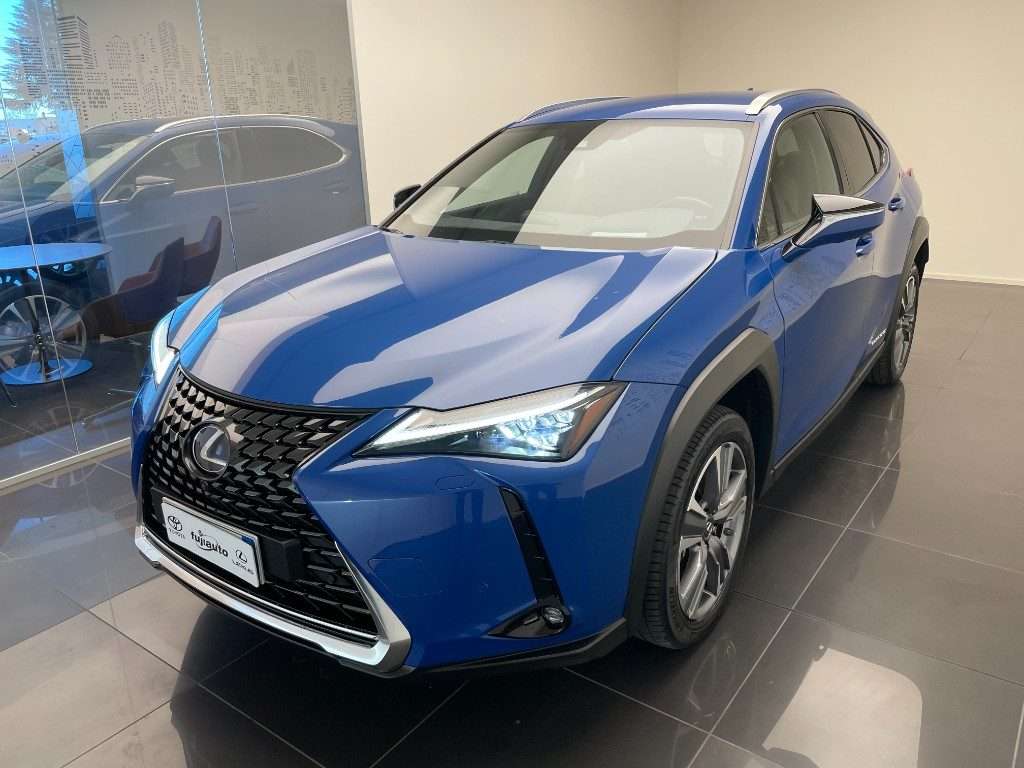 Lexus UX 300eLuxury