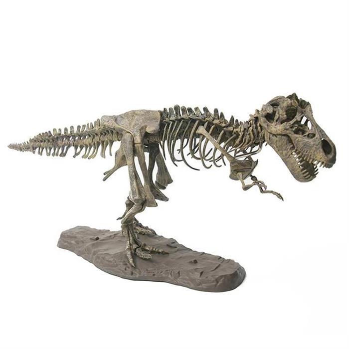 TYRANNOSAURUS REX