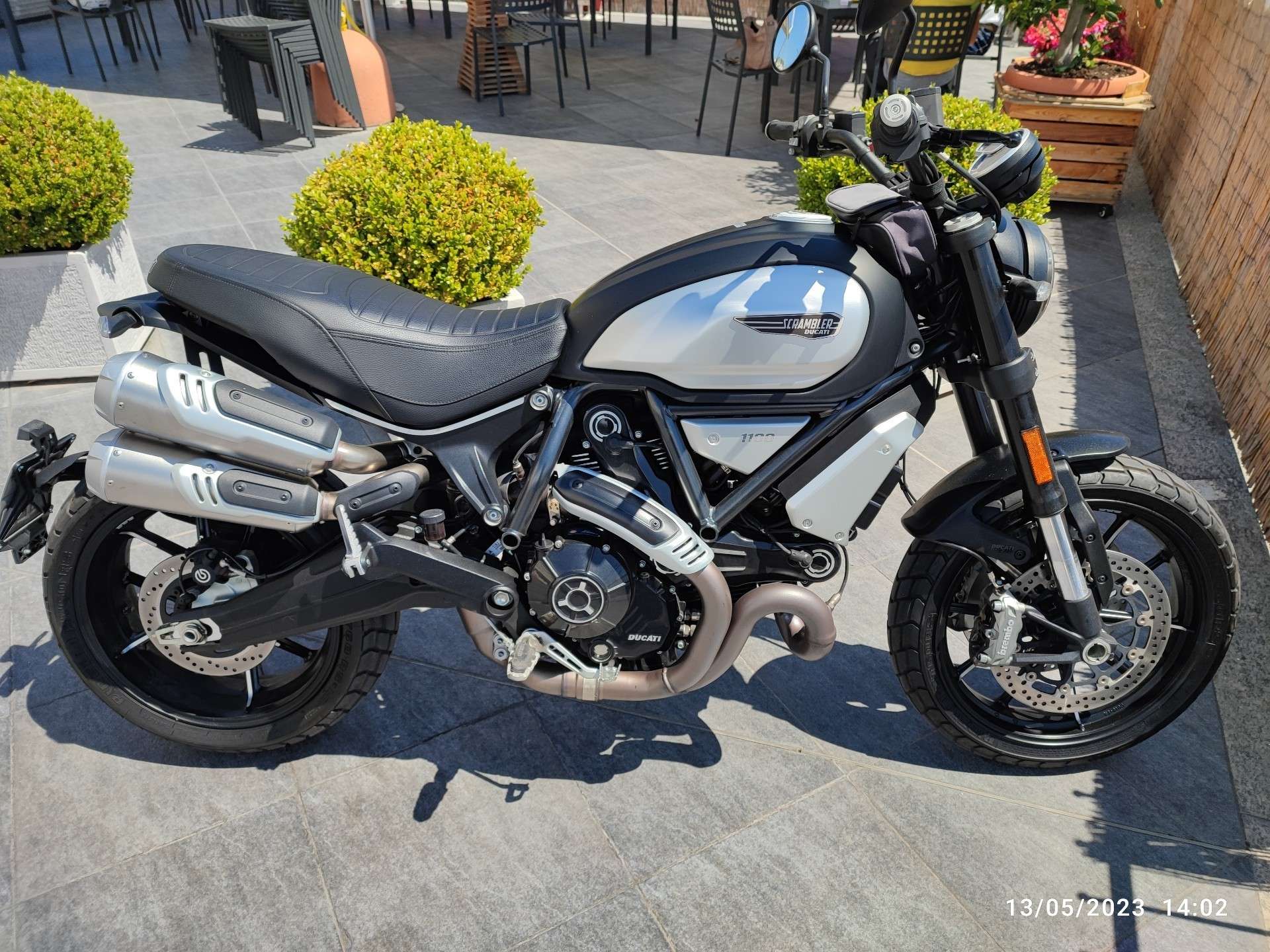 Ducati Scrambler1100 Dark Pro