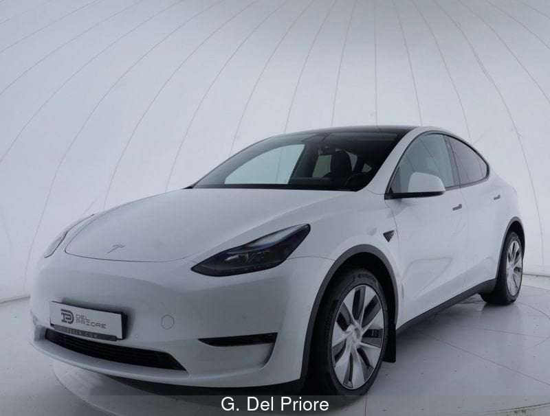 Tesla Model YLong Range AWD