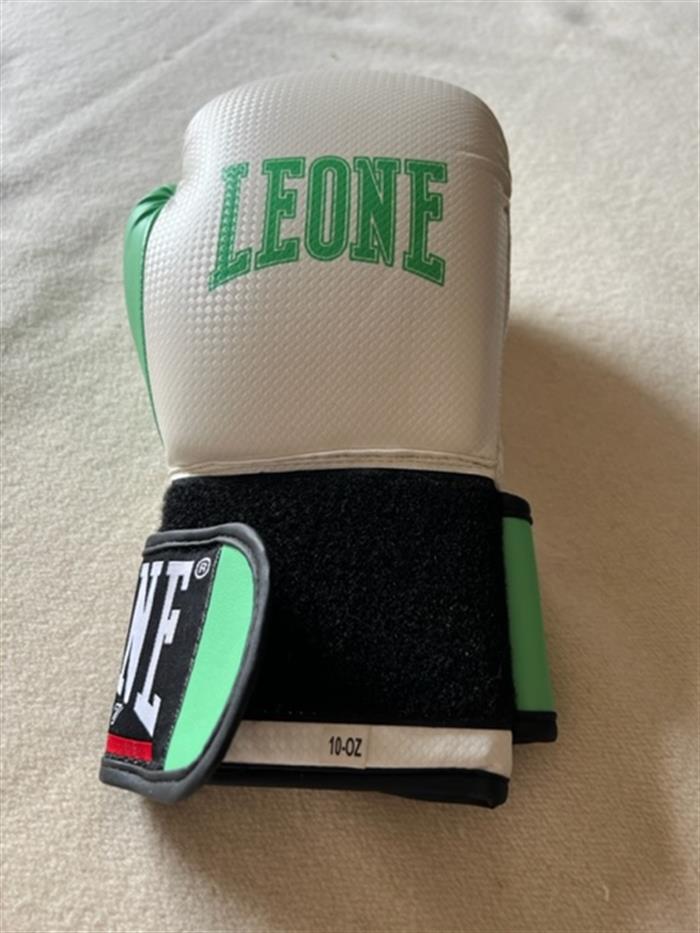 GUANTI BOXE LEONE 10 OZ CON CASCO E CORDA