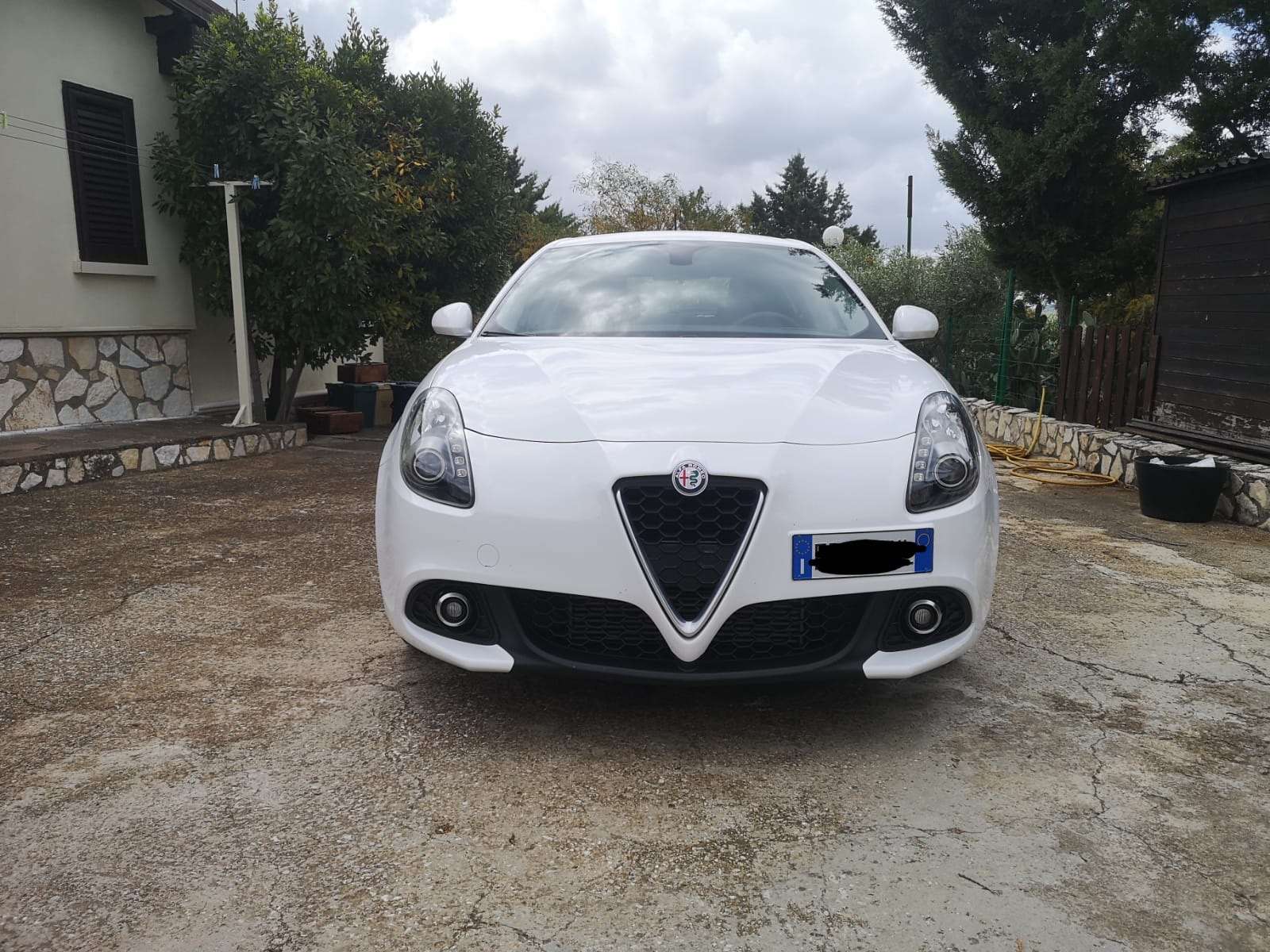 Alfa Romeo GiuliettaGiulietta 1.6 jtdm Business 120cv